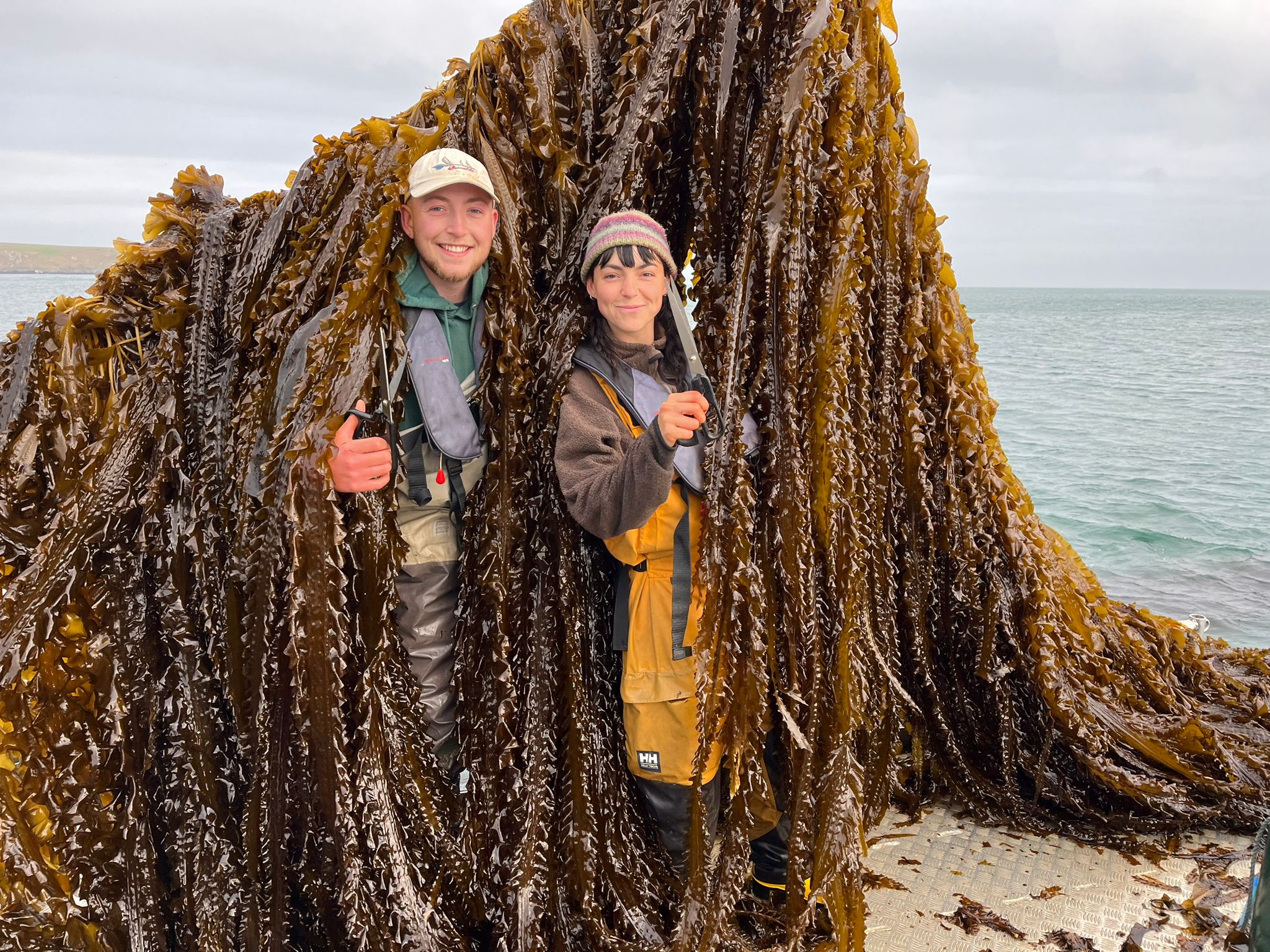 Progress Report: Transforming Wales through Social Enterprise - Cwmpas